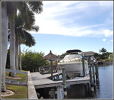 Cape Coral Wildlife Control - The Wildlife Whisperer